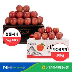 과일꾼 거창 꿀사과 못난이 선물용 가정용, 1box, 사과 5kg 중과(16-21) 서두르세요