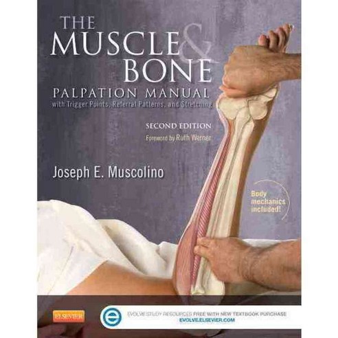 The Muscle and Bone Palpation Manual With Trigger Points Referral ...