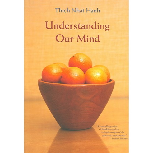 Understanding Our Mind, Parallax Pr - 가격 변동 추적 그래프 - 역대가