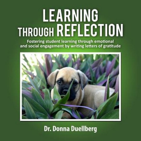 Learning Through Reflection: Fostering Student Learning Through ...