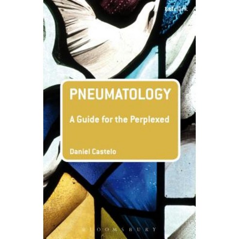 Pneumatology: A Guide for the Perplexed Paperback, Bloomsbury ...