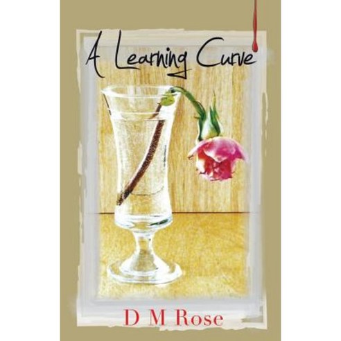 A Learning Curve Paperback, New Generation Publishing - 가격 변동 추적 그래프 - 역대가