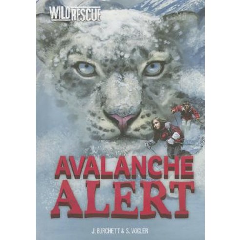 Avalanche Alert Hardcover, Stone Arch Books - 가격 변동 추적 그래프 - 역대가
