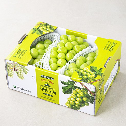 상주 GAP 고당도 샤인머스켓, 2kg, 1개 - 가격 변동 추적 그래프 - 역대가