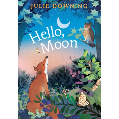 Hello Moon Hardcover, Neal Porter Books, English, 9780823447015 - 가격 변동 ...