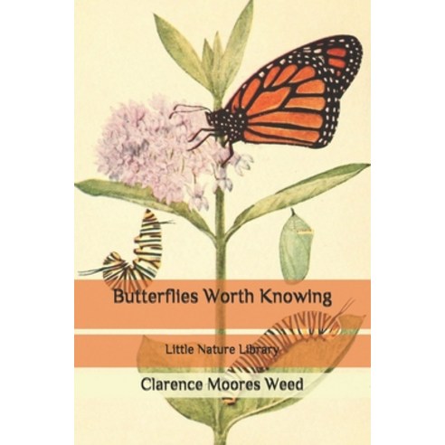 Butterflies Worth Knowing: Little Nature Library Paperback ...