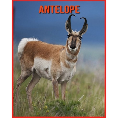 Antelope: Children Book of Fun Facts & Amazing Photos Paperback ...