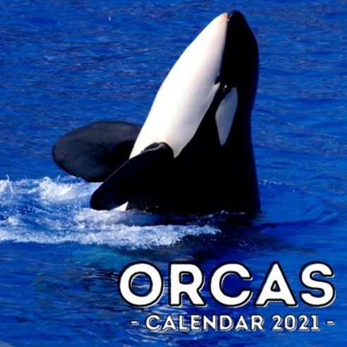 Orcas Calendar 2021: 16-Month Calendar Cute Gift Idea For Killer Whales ...
