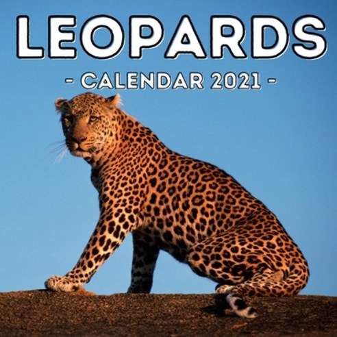 (영문도서) Leopards Calendar 2021: 16-Month Calendar Cute Gift Idea For ...