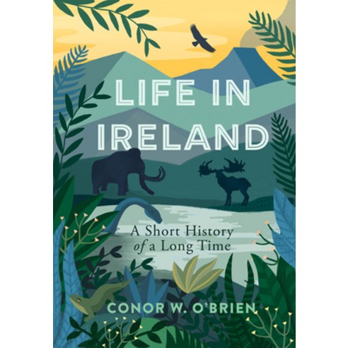 Life in Ireland: A Short History of a Long Time Paperback, Merrion ...