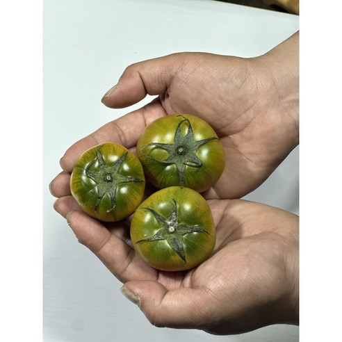 대저 짭짤이 토마토 산지직송 당도선별, 1박스, S~3S 짭짤이 토마토 2.5kg 대저토마토