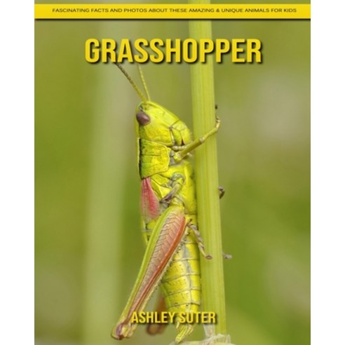Grasshopper: Fascinating Facts and Photos about These Amazing & Unique ...
