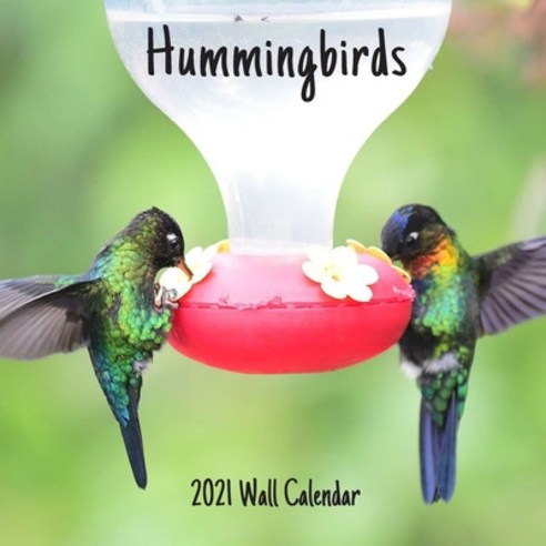 Hummingbirds 2021 Wall Calendar: Hummingbirds 2021 Calendar 18 Months ...