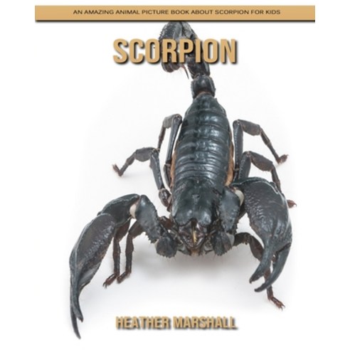 Scorpion: An Amazing Animal Picture Book about Scorpion for Kids ...