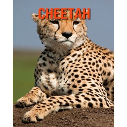 Cheetah: Fun Facts & Cool Pictures Paperback, Independently Published ...