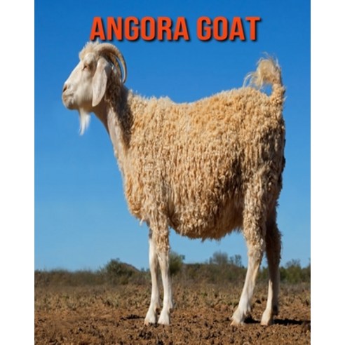 Angora Goat: Beautiful Pictures & Interesting Facts Children Book About ...