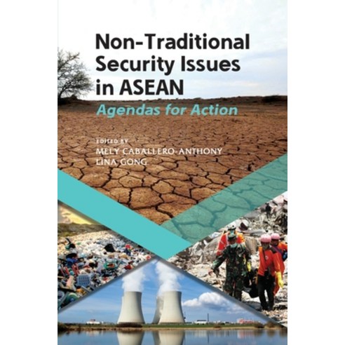 Non-Traditional Security Issues in ASEAN: Agendas for Action Paperback ...