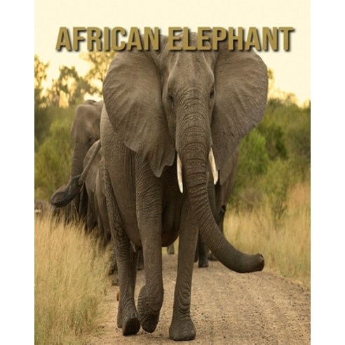 African Elephant: Children''s Books --- Learn About African Elephant ...
