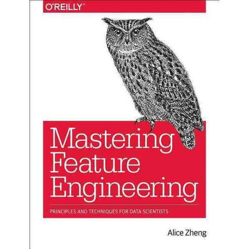 Mastering Feature Engineering: Principles and Techniques for Data Scientists, O