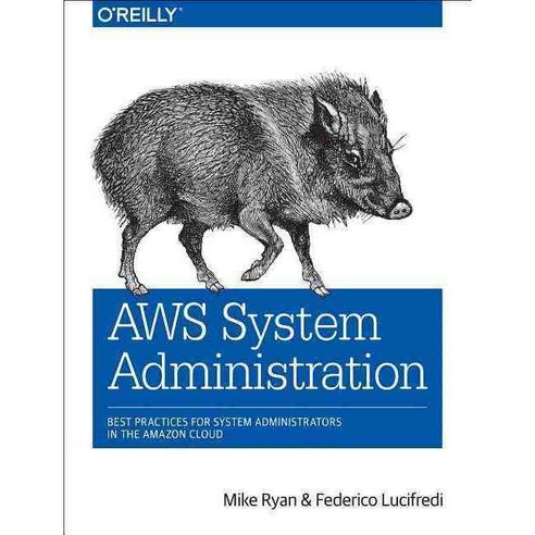 Aws System Administration: Best Practices for Sysadmins in the Amazon ...
