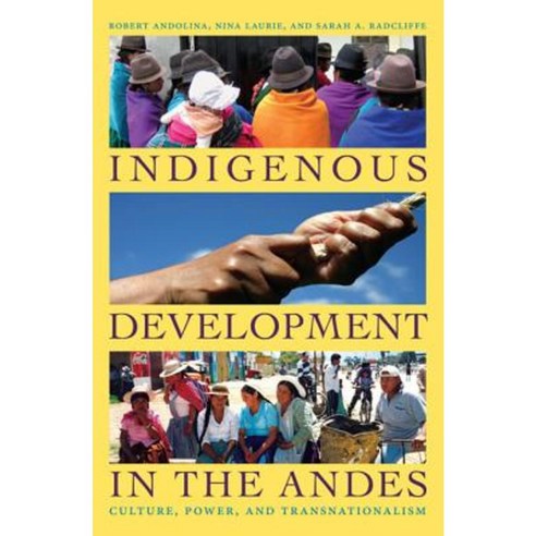 Indigenous Development in the Andes: Culture Power and Transnationalism ...