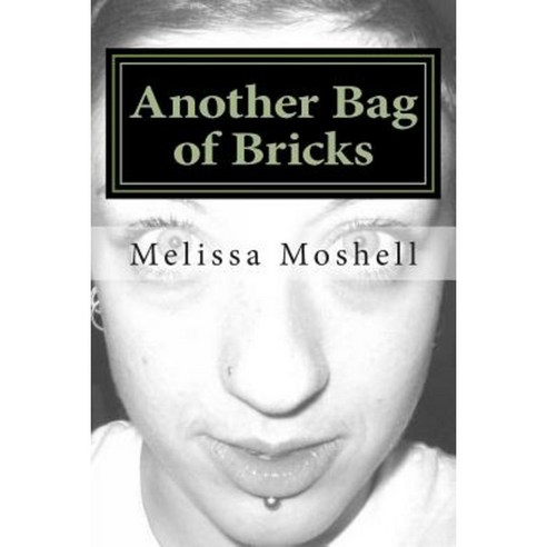 Another Bag of Bricks Paperback, Createspace - 가격 변동 추적 그래프 - 역대가