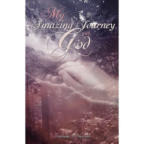 My Amazing Journey with God Paperback, Xulon Press - 가격 변동 추적 그래프 - 역대가