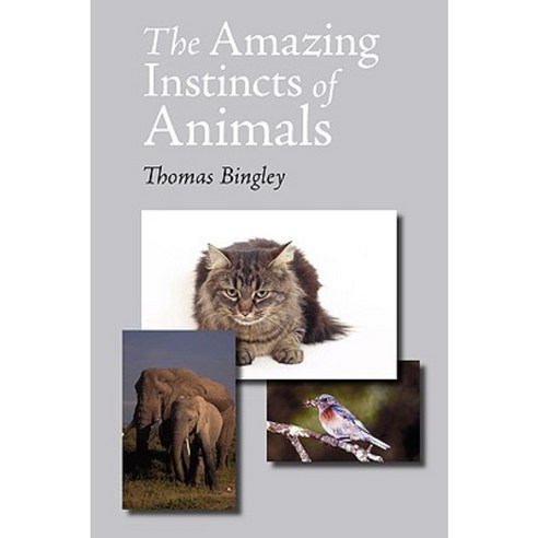 The Amazing Instincts of Animals Paperback, Waking Lion Press - 가격 변동 ...