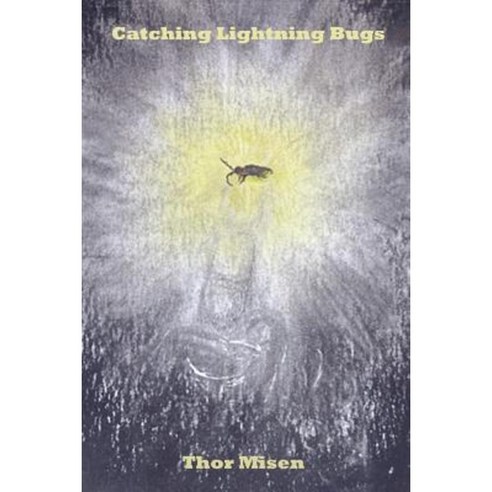 Catching Lightning Bugs Paperback, Authorhouse - 가격 변동 추적 그래프 - 역대가