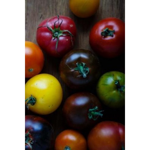 Vibrant Heirloom Tomatoes Notebook: 150 Page Lined 6 X 9 Notebook/Diary ...