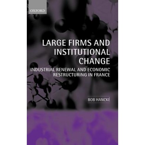 Large Firms and Institutional Change: Industrial Renewal and Economic ...