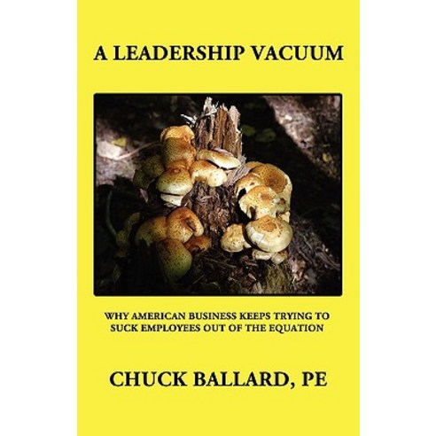 A Leadership Vacuum Paperback, Virtualbookworm.com Publishing - 가격 변동 추적 그래프