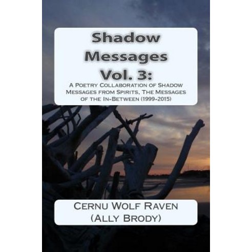 Shadow Messages Vol. 3: : A Poetry Collaboration of Shadow Messages ...