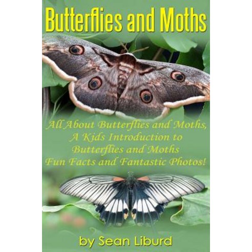 Butterflies and Moths: All about Butterflies and Moths a Kids ...