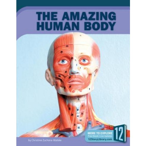 The Amazing Human Body Hardcover, 12 Story Library - 가격 변동 추적 그래프 - 역대가