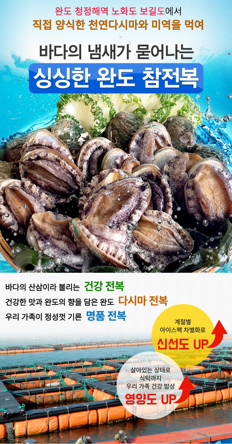 남도전복 전복, B 1kg(총40~80마리), 1box-[22,000원] « crd shop